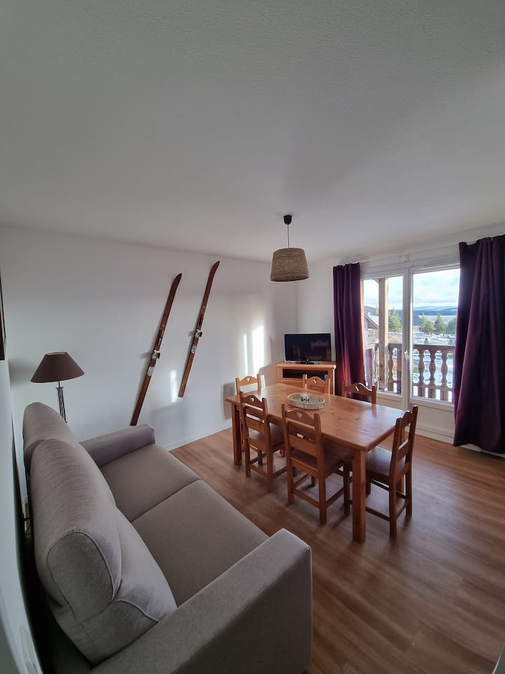 Appartement 4/6 Personnes De 37 M² - Besse-et-Saint-Anastaise