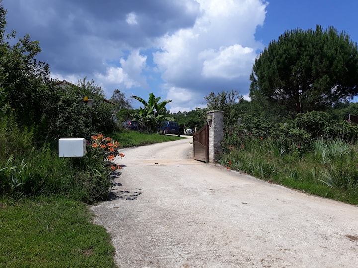 Chambre D'hôtes Entre Terre Et Mer - Sarlat-la-Canéda