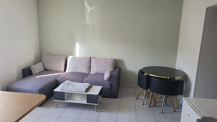 Logement Agréable Et Spacieux - Remiremont