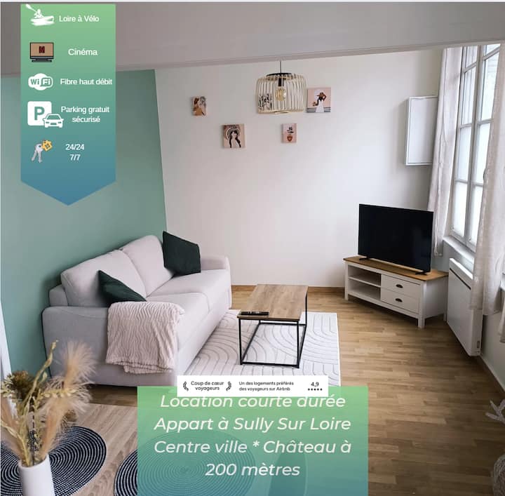 F2 Cosy – Chambre Avec Cinéma & Parkingprivé - Sully-sur-Loire