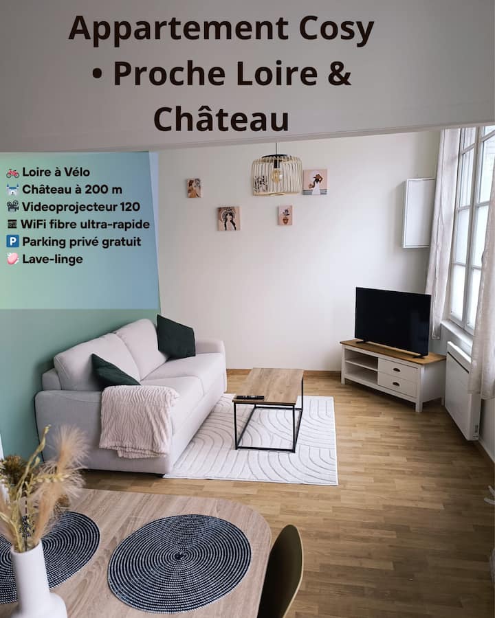 Centre Pratique Cinéma Privé Dans Votre Chambre - Sully-sur-Loire
