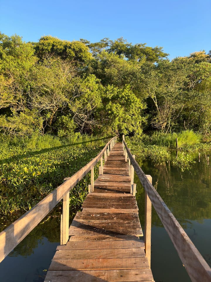 Rancho Na Beira Do Rio Paranapanema. - Cambará
