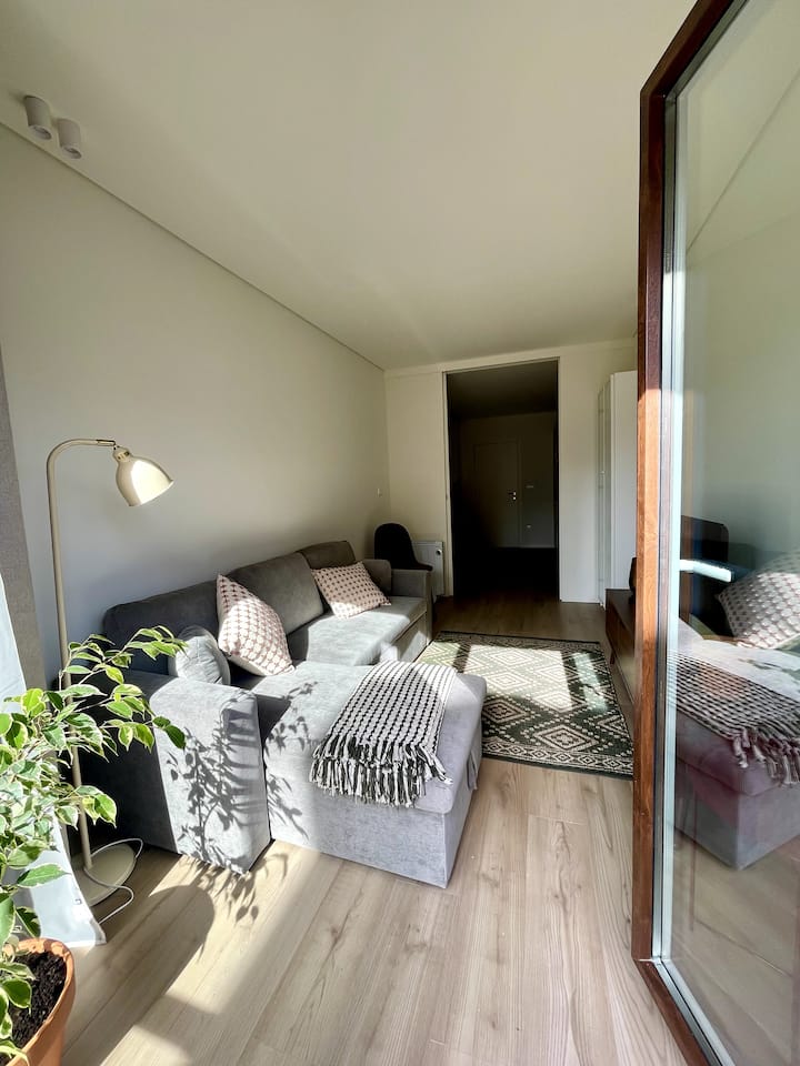 Apartment W/ Balcony – Beira-mar, Historic Center - Aveiro