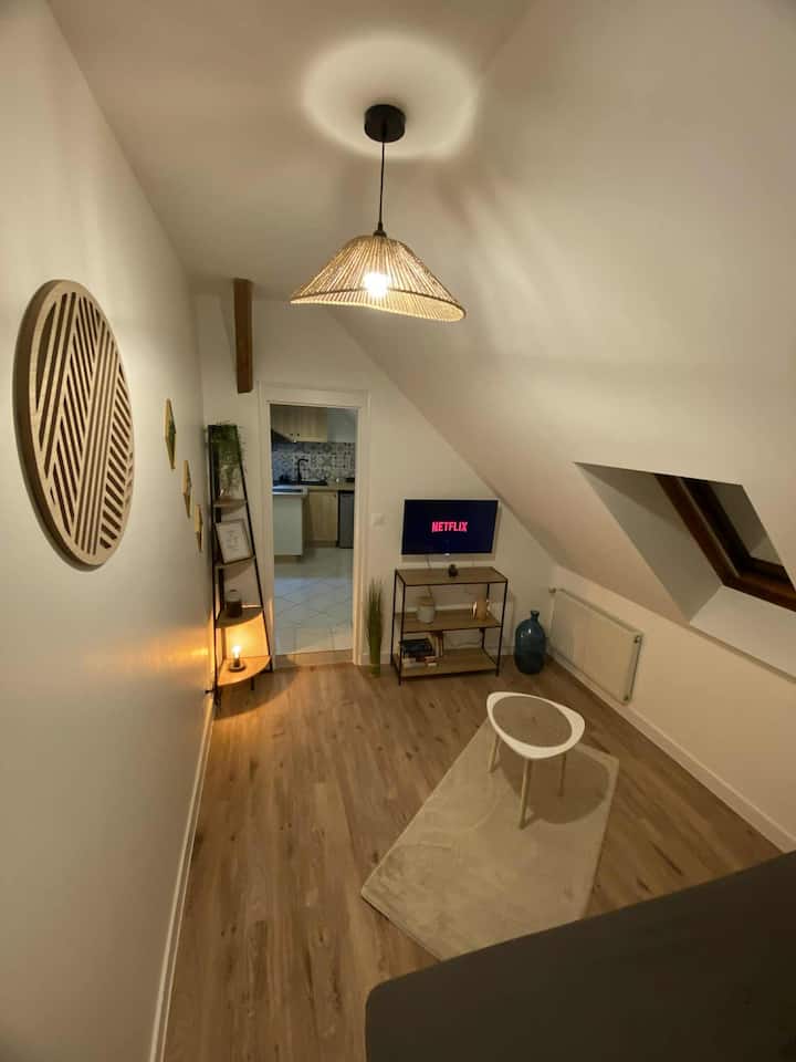 Cocon De La Porte Saint Jean - Montreuil-Bellay