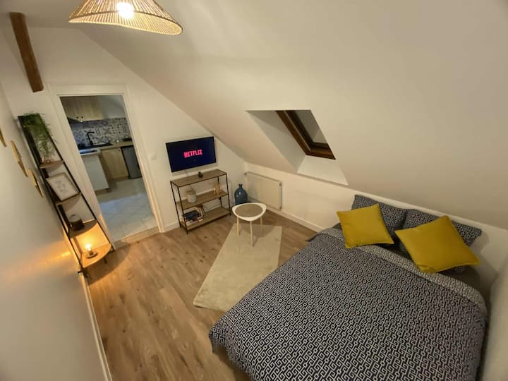 Cocon De La Porte Saint Jean - Montreuil-Bellay