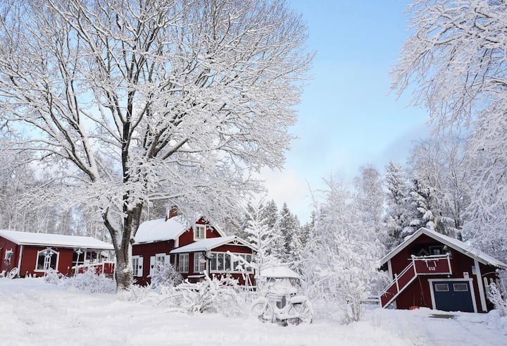 Stuga I Vackra Värmlandska Skogen - Filipstad