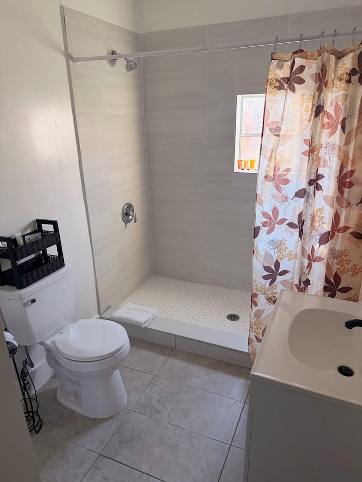 Close To Airport, Busch Gardens, And Raymond James - Tampa, FL