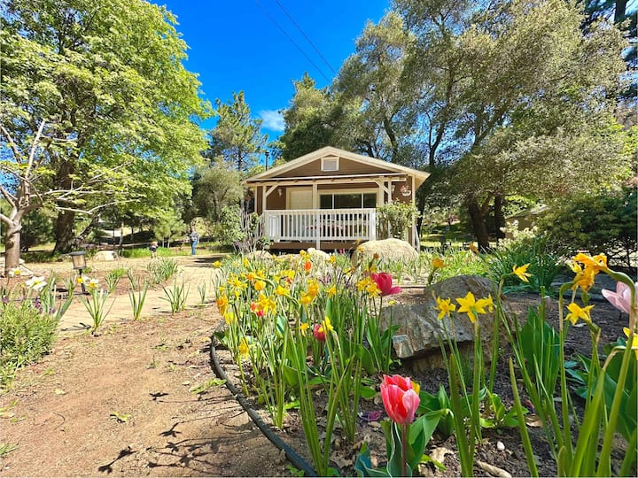 Cottage In Julian W/ King Bed + Stargazing - Julian, CA