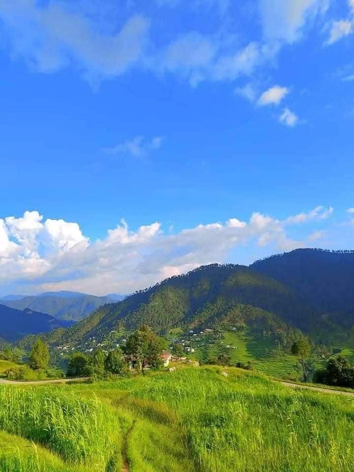 Almora's Calm Nest - Kausani