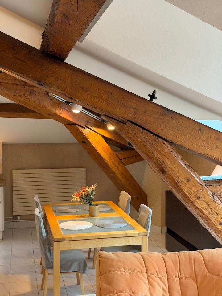 Appartement F3 Meublé 4 Personnes - Clermont-Ferrand