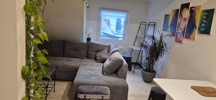 Un Beau F2 Atypique Proche De Tout - ibis Mulhouse Ile Napoleon