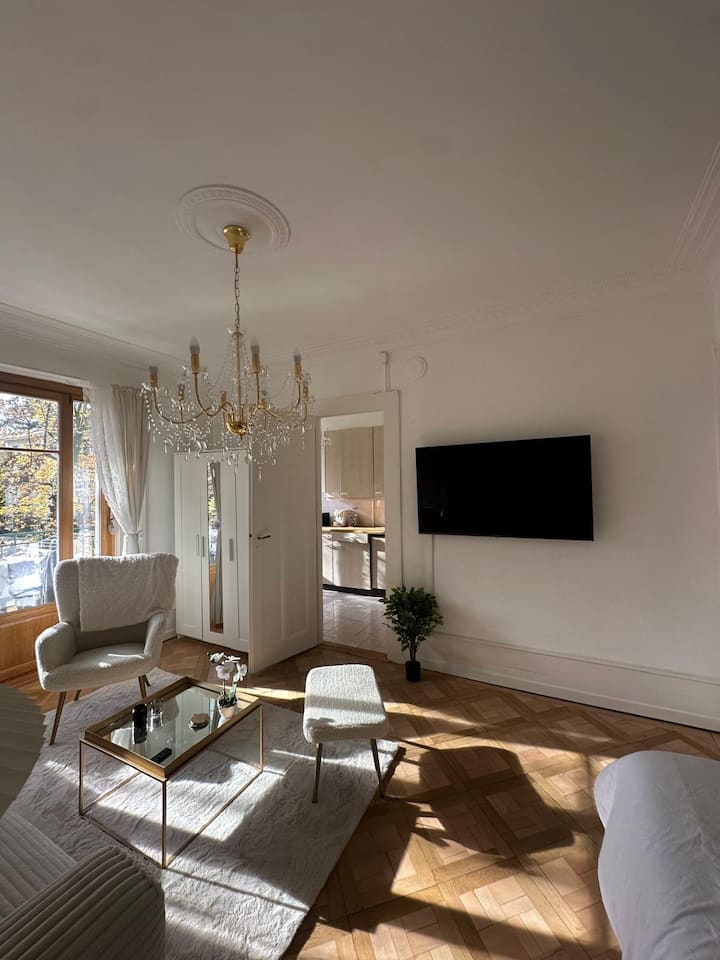 Cosy Lumineux Avec Balcon – Vue Sur Parc Genève - Genève