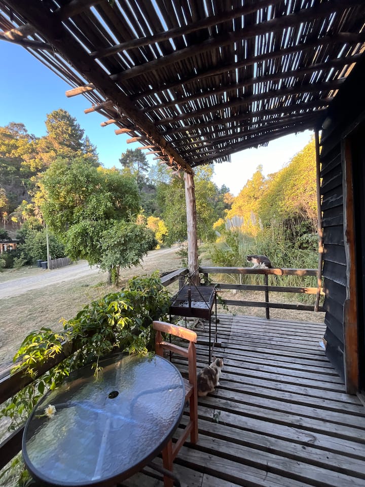 Muy Bien Ubicado, 15 Min Del Mar, Pasos Del Río. - Constitución