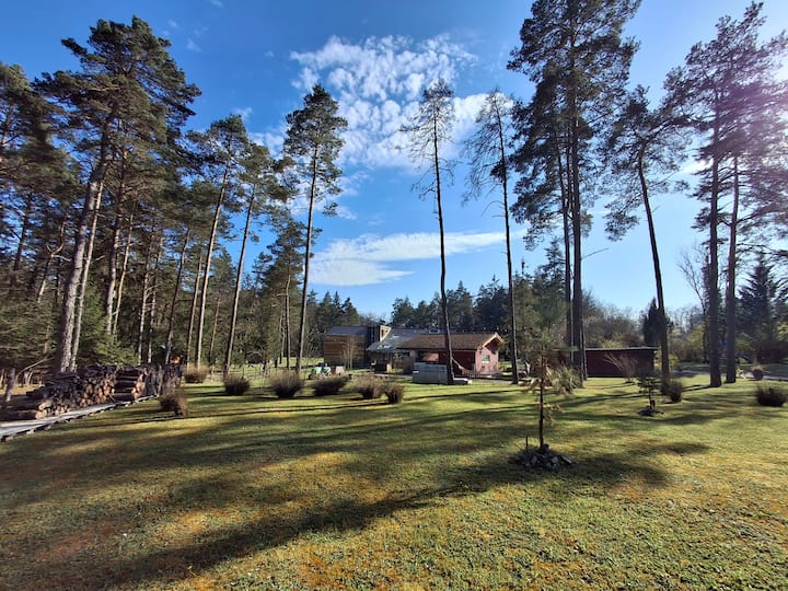 Domaine De Plan Bois - Douvaine