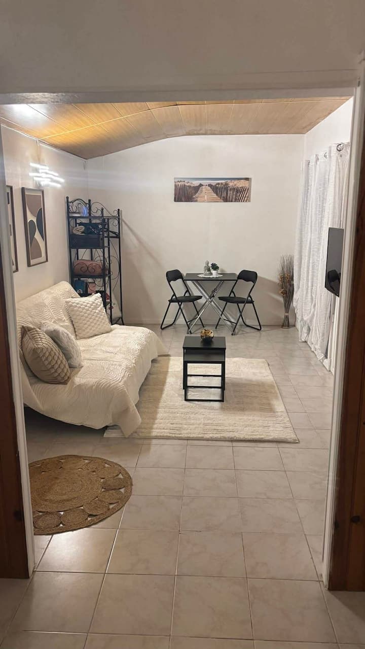 Studio Cosy • Entre Espagne, Ski Et Plages Basques - Orthez