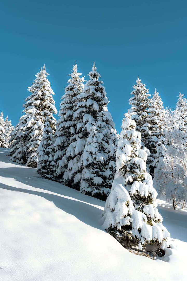 Chalet Grand Air, Ski Aux Pieds, 9 Personnes - La Rosière