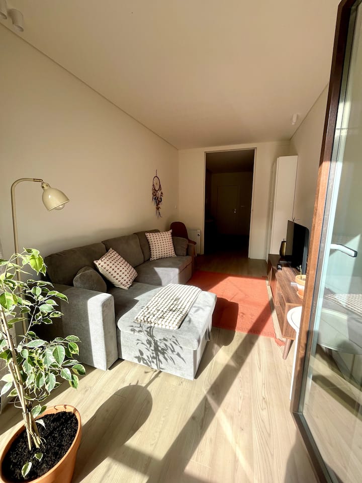 Apartment W/ Balcony – Beira-mar, Historic Center - アベイロ