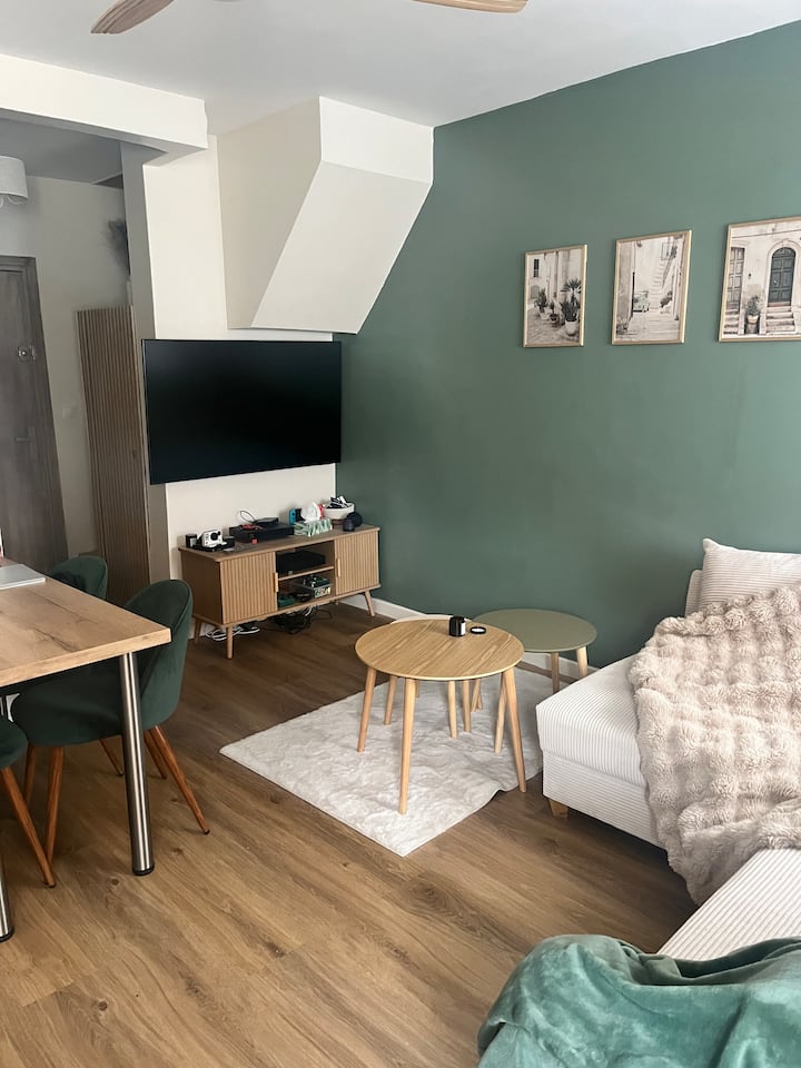 Duplex-centre-ville-de-strasbourg - Strassburg