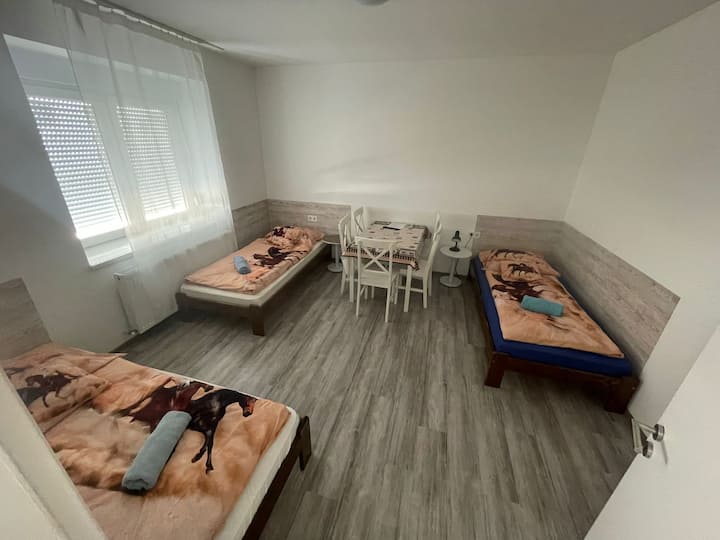 Bem Utca 5 Fős Apartman - Kecskemét