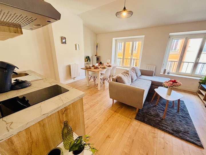 Le Rêve Bleu · Proche Centre-ville · Saint-etienne - Roche-la-Molière