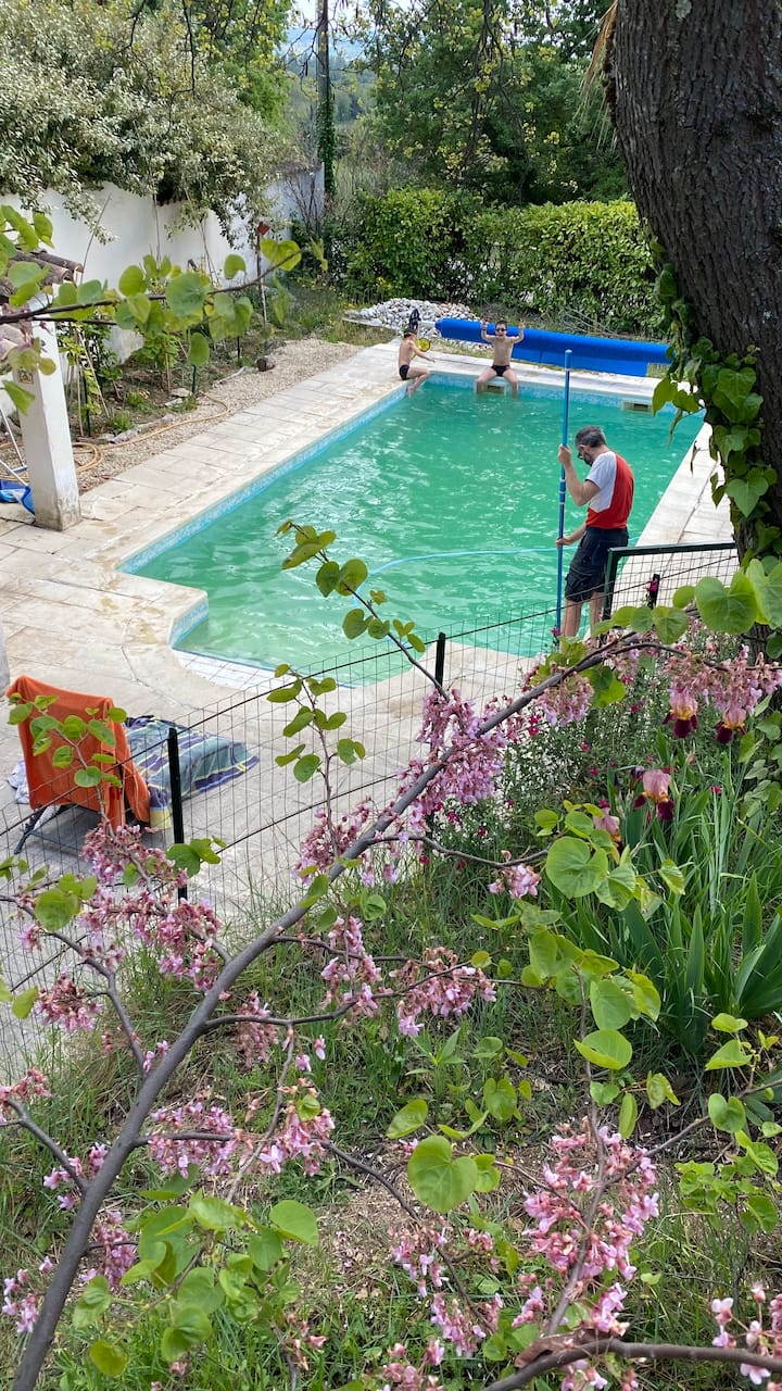 Studio Piscine Drôme Provençale Repas Asiatiques - Valréas