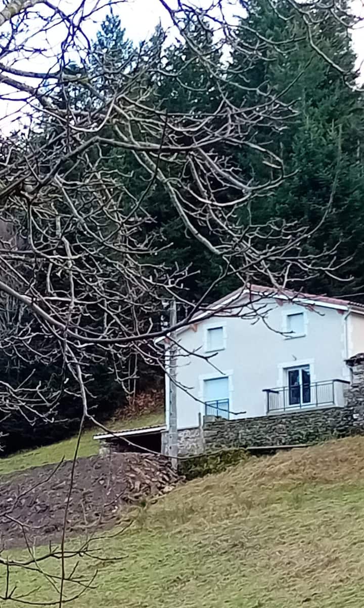 Gite Le Patrol En Pleine Nature Dans Parc Du Pilat - Saint-Chamond