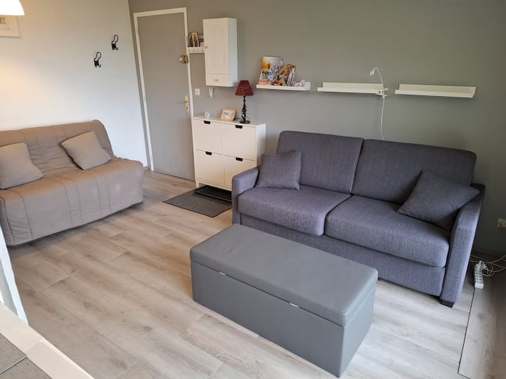 Beau Studio Rénové Avec Balcon Terrasse - Prémanon