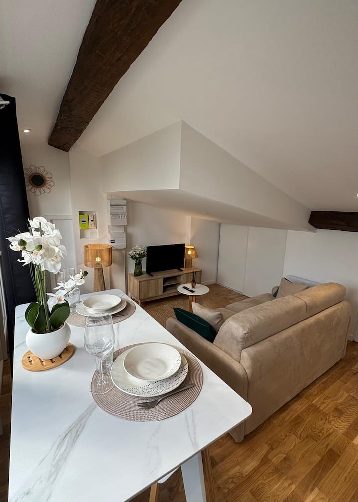 L’épure – Studio Neuf & Lumineux Dans Mâcon Centre - Mâcon