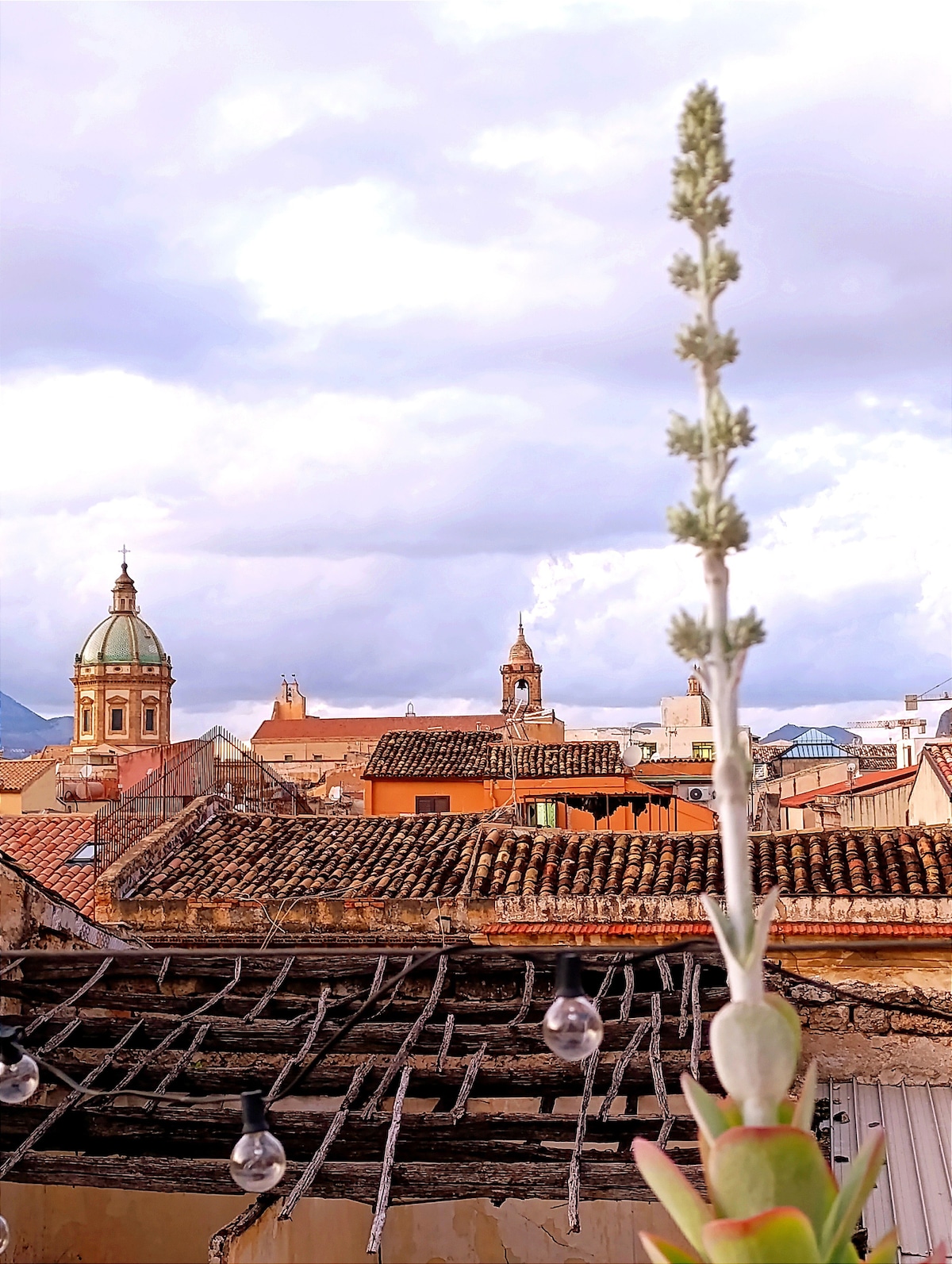 Casa Cutó près de la gare centrale - Appartements à louer à Palerme ...