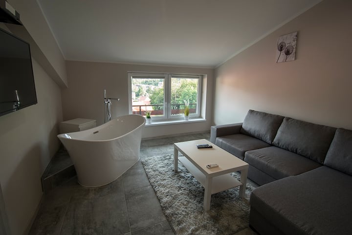 Apartament 8 Z Wanną W Salonie - Szklarska Poręba