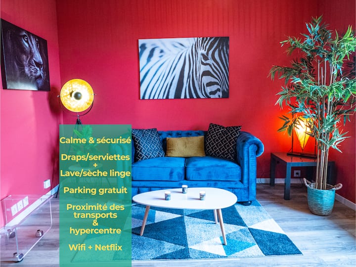 Colorful Cocoon T2 - Toulouse/minimes - Parking - Blagnac