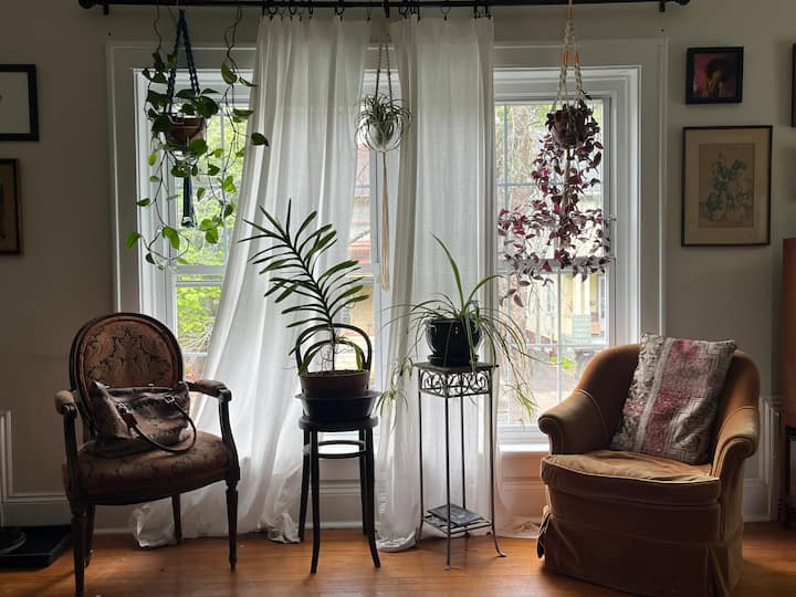 Spacious, Quiet, Beautiful With A Large Backyard. - Troy, NY