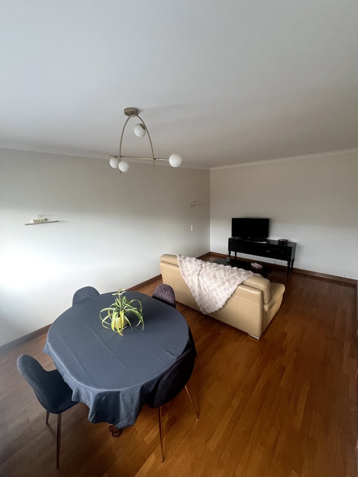 T3 Cosy Vue Montagne Le Balcon De Chambéry - Chambéry