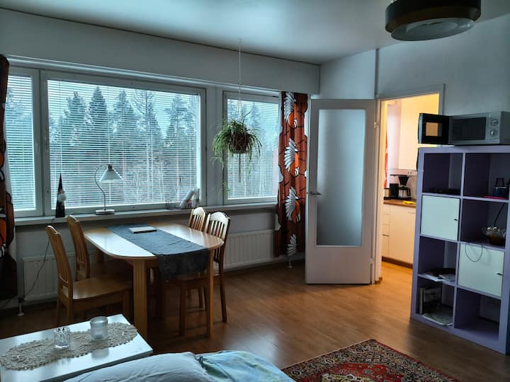 Rauhallinen Kaksio, 3 Km Keskustaan Ja Yliopistoon - Lahti