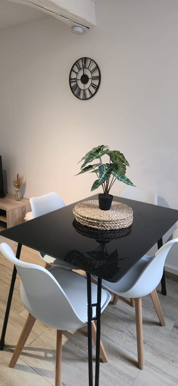 Duplex De Charme à Deux Pas De La Cathédrale - Auxerre