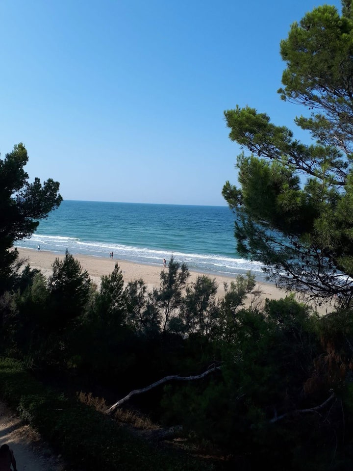 Appartamento Mare Pineto Centro - Pineto