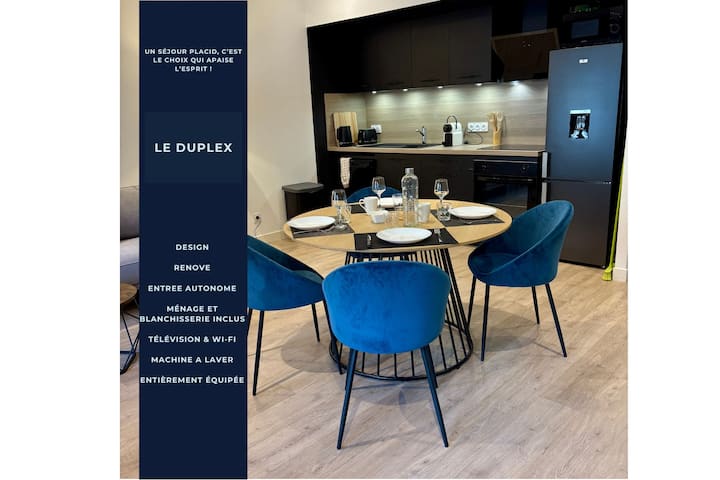 Superbe Duplex- Hyper Centre-confort Et Style - Limoges