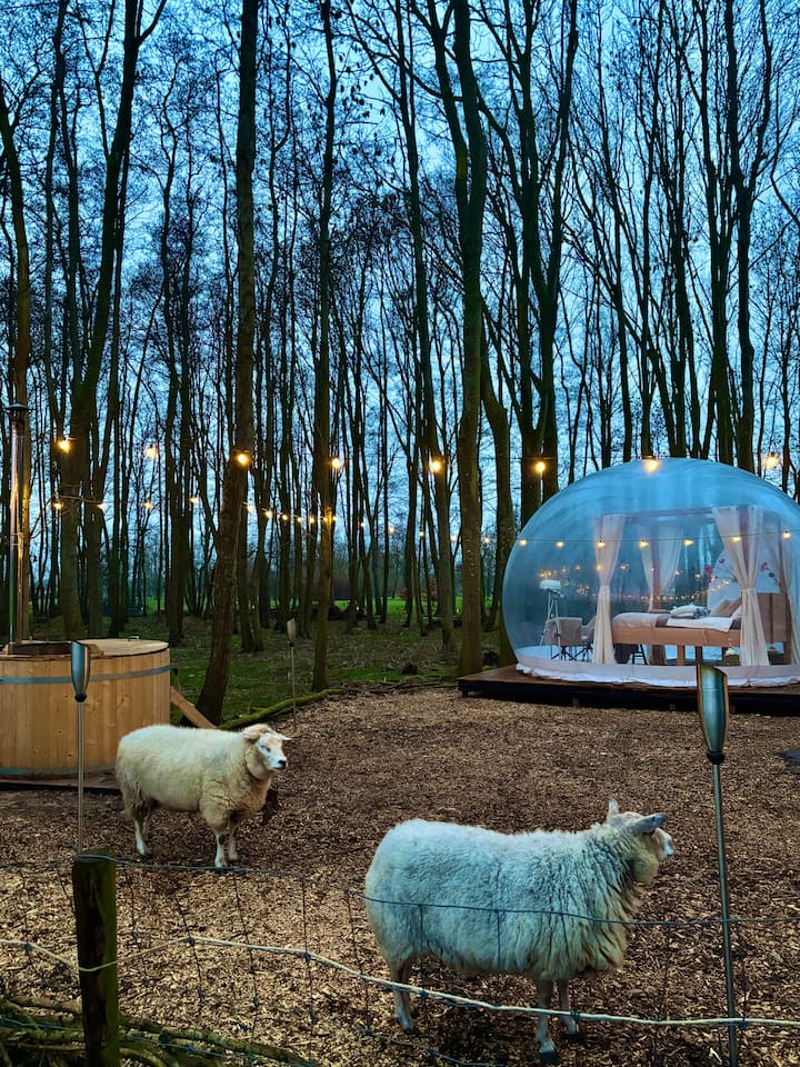 Bubbletent In Natuur Met Hottub Bij Amsterdam - Volendam