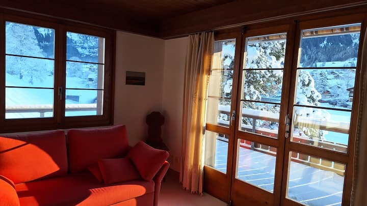 Komplett Ausgestattete 3.5 Zimmer-wohnung - Grindelwald