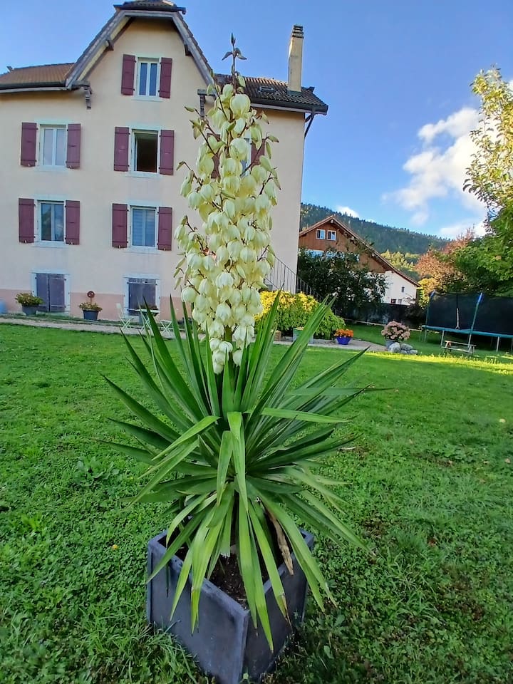 Studio Chezzie - Neuenburg