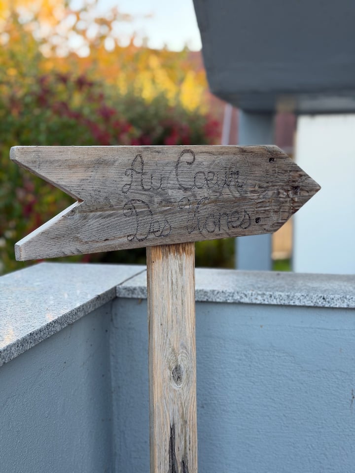 Appartement De Charme, Route Des Vins - Sélestat