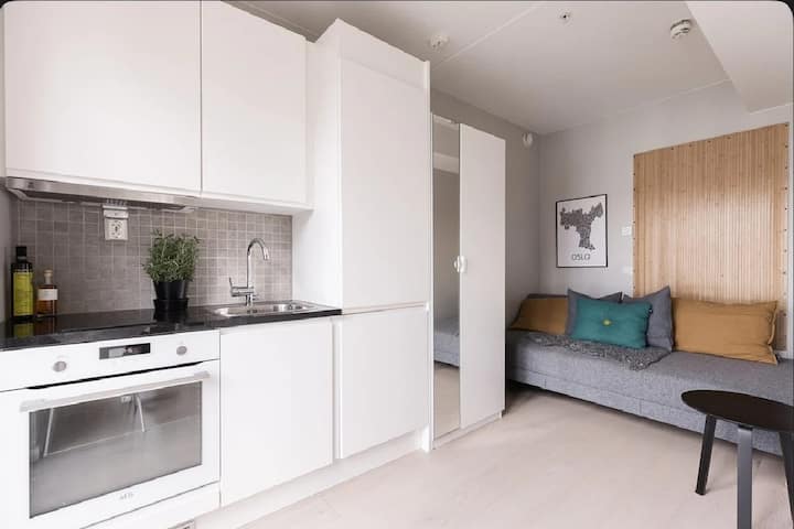 Moderne Studiolelighet Midt I Oslo Sentrum - Oslo
