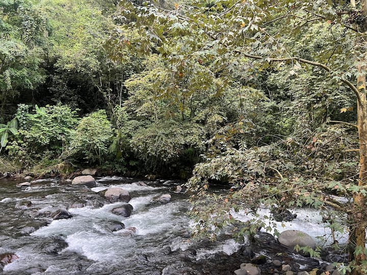 Cabaña Los Girasoles - Xico
