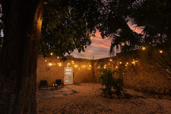 Traslado Ado Gratis · Minicasa Con Patio - Valladolid