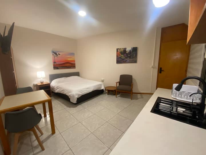 Loft Mini - Zona Uv - Xalapa