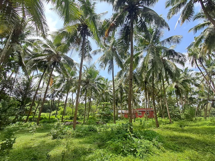 Ac Room In Udupi Perfect For Break From Bangalore - Udupi