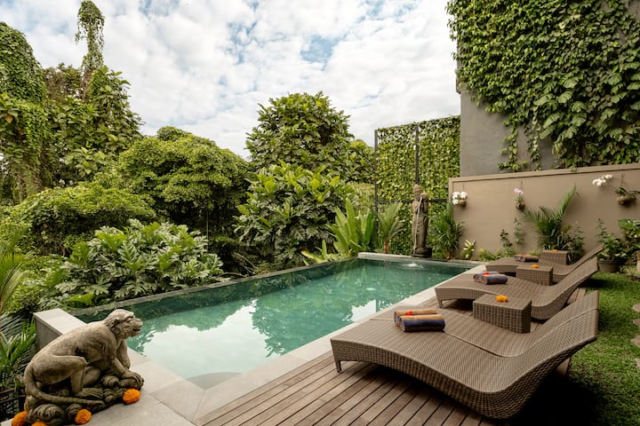 Orchid - Cozy Deluxe Room Overlooking The Jungle - Australia