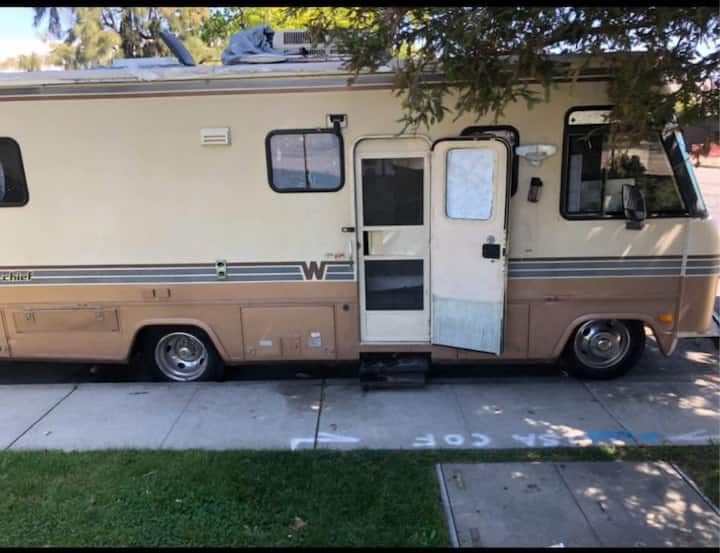 Live A Wild Experience - Fremont, CA