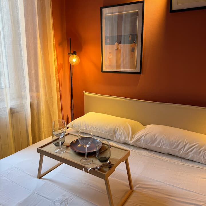 Bertholletstay - Turin