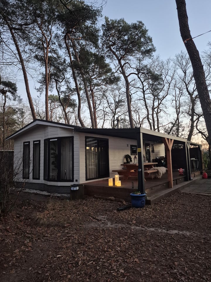 Parel Van Het Bos. - Drenthe
